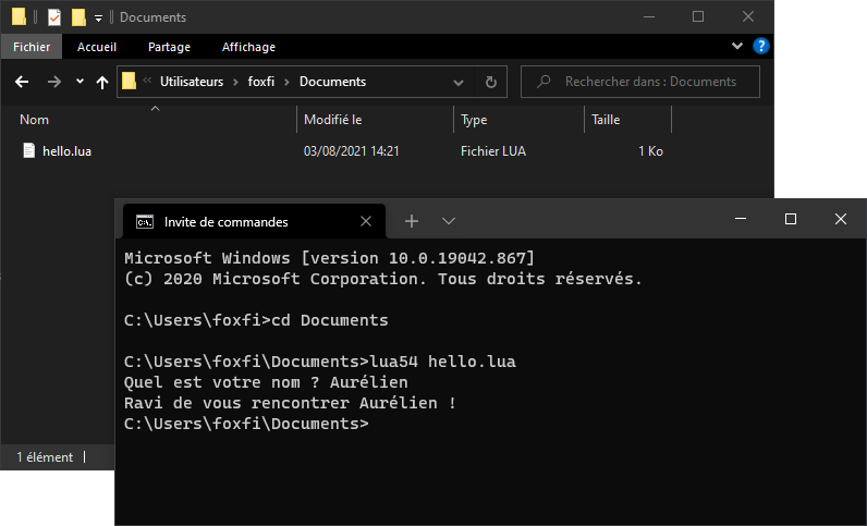 Utiliser Lua dans Visual Studio Code · Aurélien Dos Santos