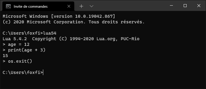 Utiliser Lua dans Visual Studio Code · Aurélien Dos Santos